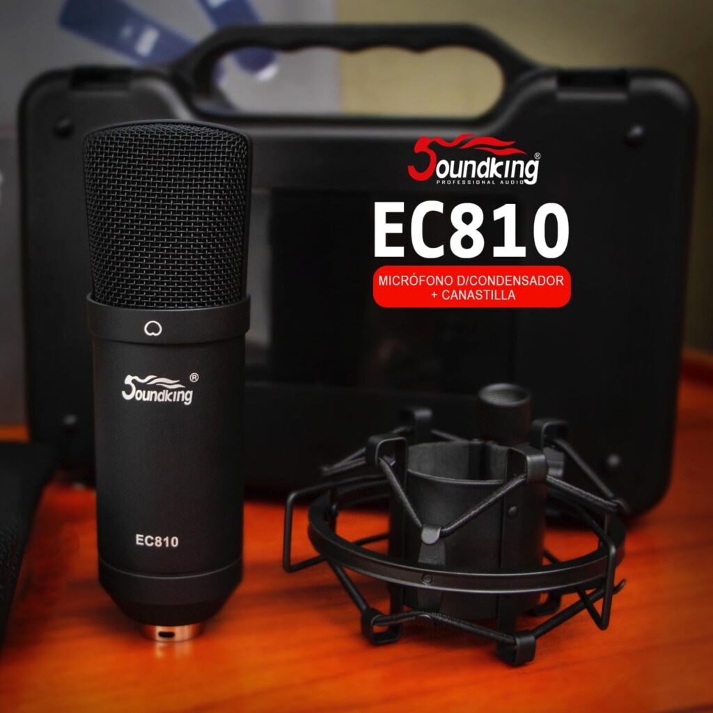 Micrófono Condensador Soundking EC810 - Music Solfeando
